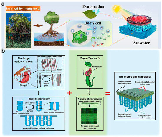 Hydrogel-Based Interfacial Solar-Driven Evaporation: Essentials and Trails