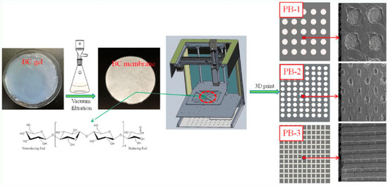 Bacterial Cellulose: A Sustainable Source for Hydrogels and 3D-Printed Scaffolds for Tissue ...