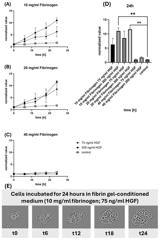 Impact of Fibrin Gel Architecture on Hepatocyte Growth Factor Release ...