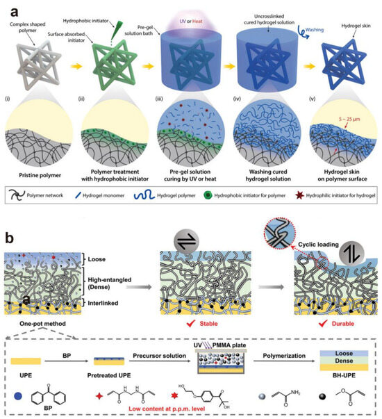 Lubricating Polymer Gels/Coatings: Syntheses and Measurement Strategies