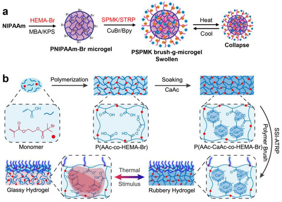 Lubricating Polymer Gels/Coatings: Syntheses and Measurement Strategies