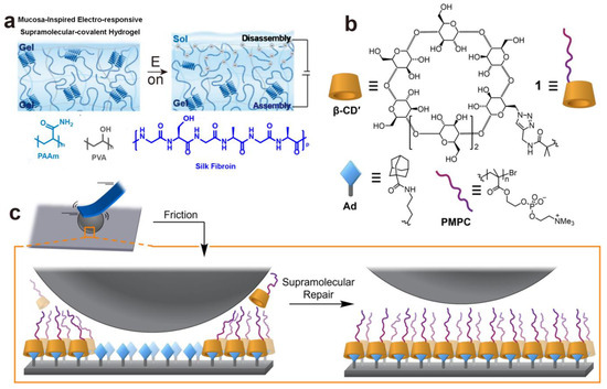 Lubricating Polymer Gels/Coatings: Syntheses and Measurement Strategies