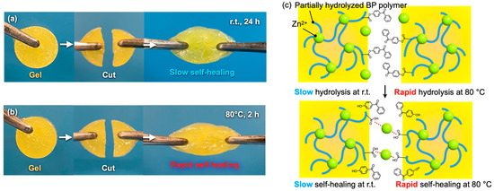 Development of a Self-Healing Gel with Self-Healing Kinetics That Can ...