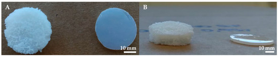 Fabrication and Characterization of Porous PEGDA Hydrogels for ...