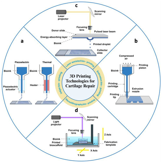 Gels | Free Full-Text | Hydrogel-Based 3D Bioprinting Technology for Articular Cartilage ...