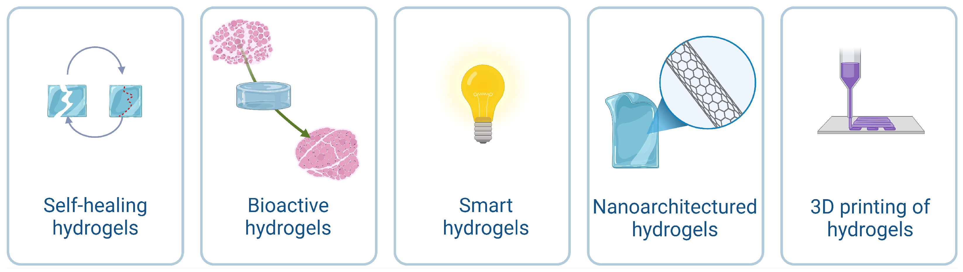 Hydrogel-Based Novel Biomaterials: Achievements and Prospects