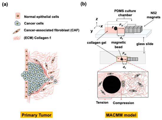 Biomimetic Hydrogel Strategies for Cancer Therapy