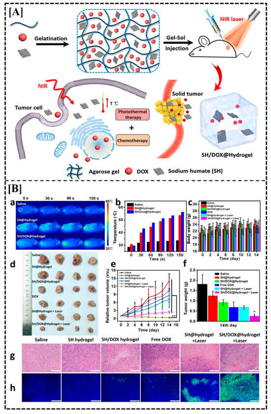 Stimulus-Responsive Hydrogels for Targeted Cancer Therapy