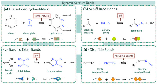 Overview of Dynamic Bond Based Hydrogels for Reversible Adhesion Processes