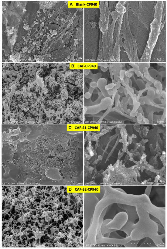 Comprehensive Biosafety Profile of Carbomer-Based Hydrogel Formulations ...
