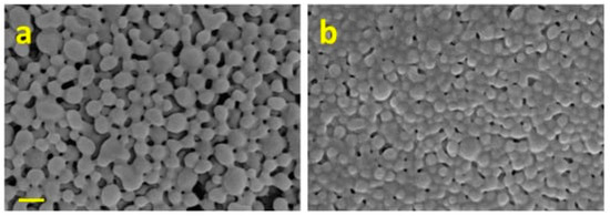 Development and Applications of PLGA Hydrogels for Sustained Delivery ...