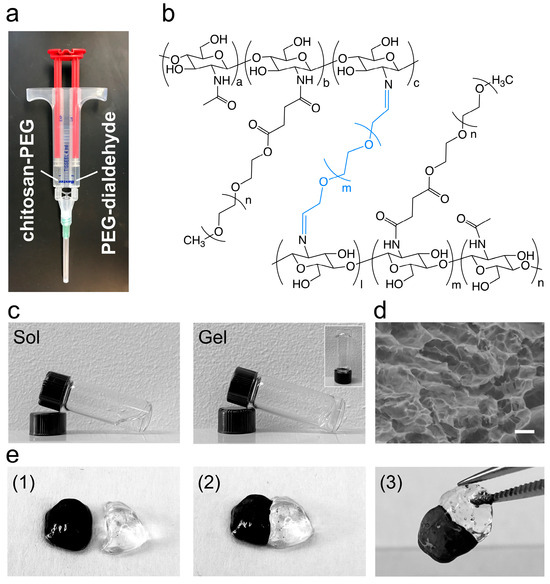 Injectable Biodegradable Chitosan–PEG/PEG–Dialdehyde Hydrogel for Stem ...
