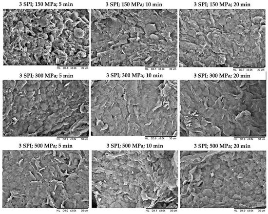 Gels | Free Full-Text | The Effect of High Hydrostatic Pressure (HHP ...