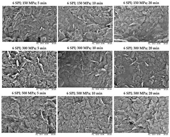 Gels | Free Full-Text | The Effect of High Hydrostatic Pressure (HHP ...