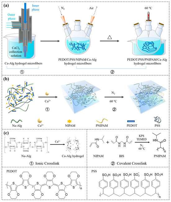 Facile Formation of Multifunctional Biomimetic Hydrogel Fibers for ...
