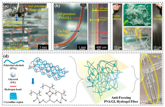 Facile Formation of Multifunctional Biomimetic Hydrogel Fibers for ...