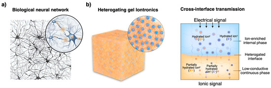 Heterogating Gel Iontronics: A Revolution in Biointerfaces and Ion ...