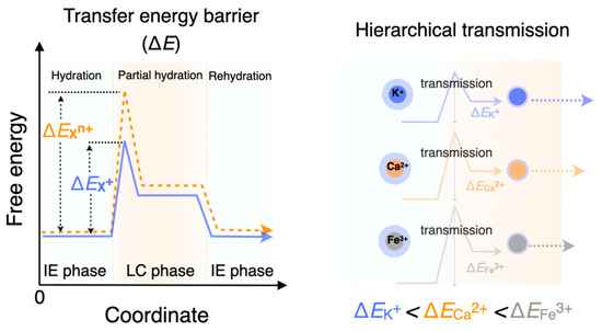 Heterogating Gel Iontronics: A Revolution in Biointerfaces and Ion ...