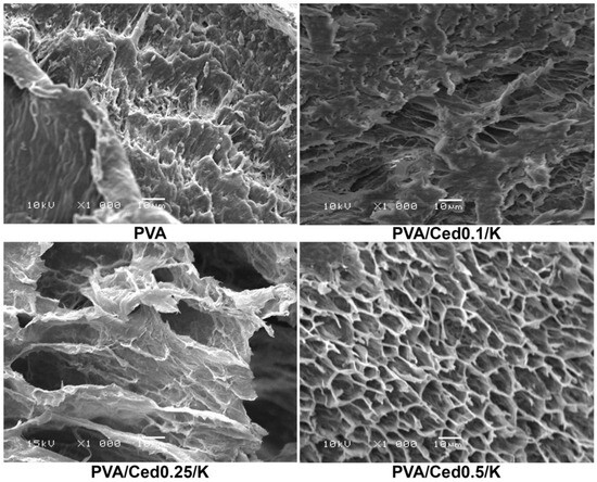 Hydrogels with Essential Oils: Recent Advances in Designs and Applications