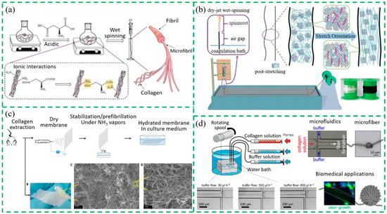 Self-Assembly Behavior of Collagen and Its Composite Materials ...