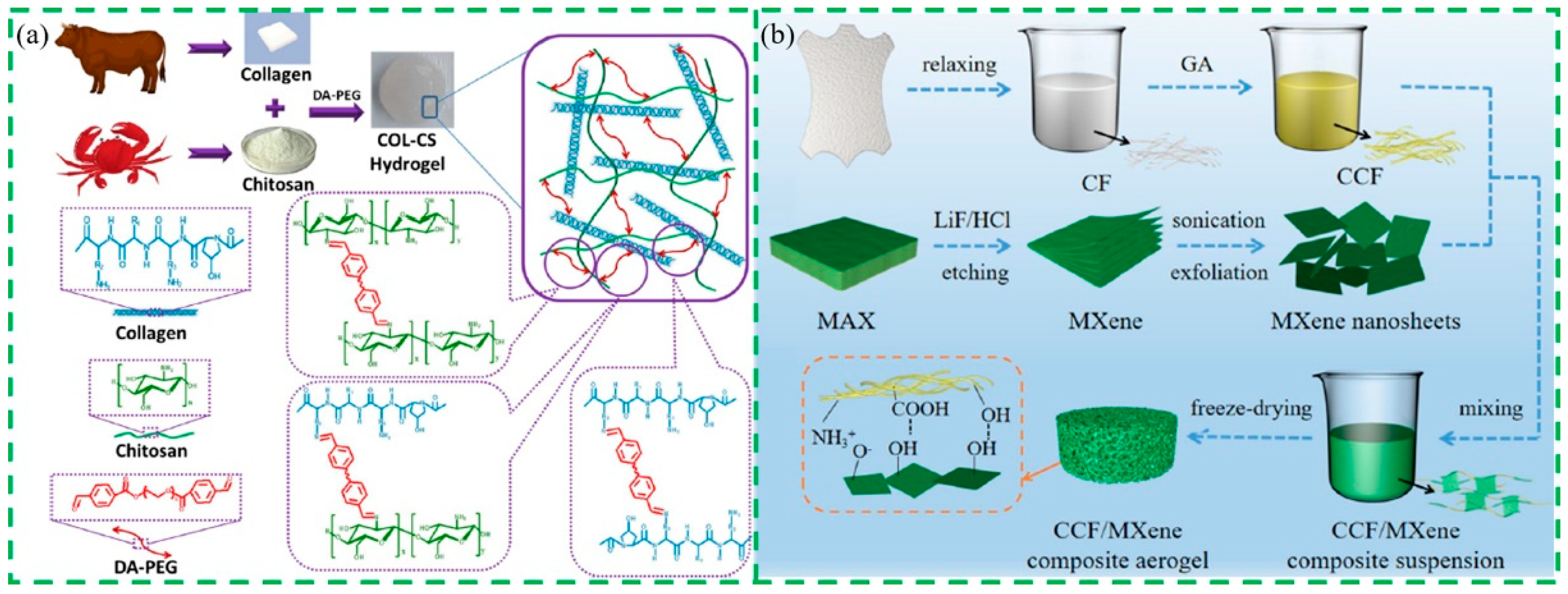Self-Assembly Behavior of Collagen and Its Composite Materials ...