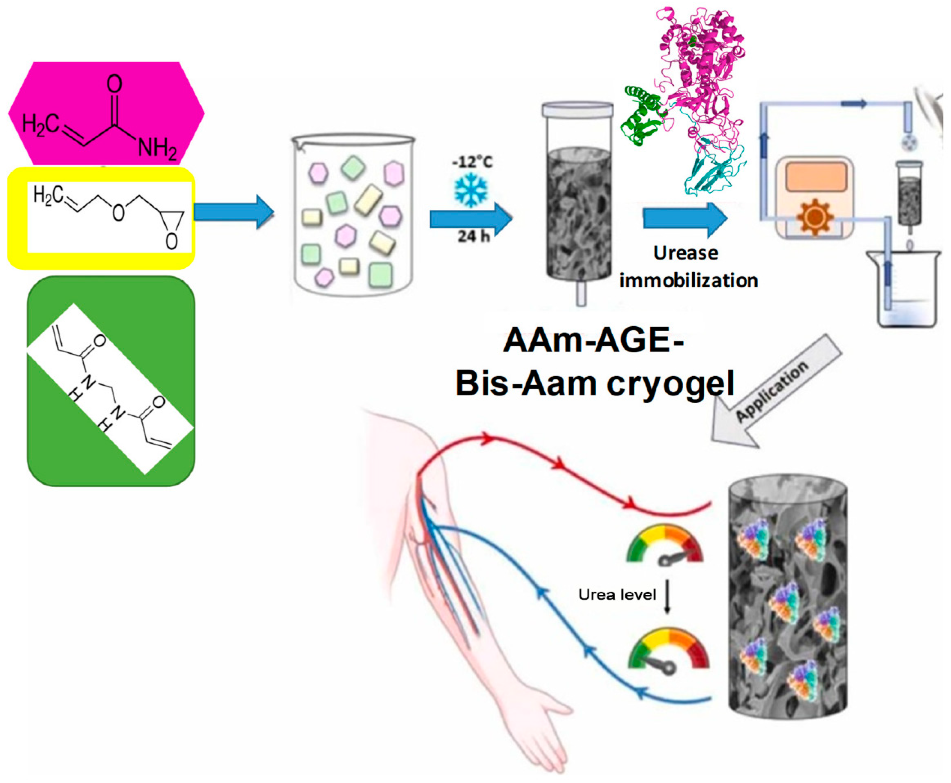 An Overview of Microorganisms Immobilized in a Gel Structure for the ...
