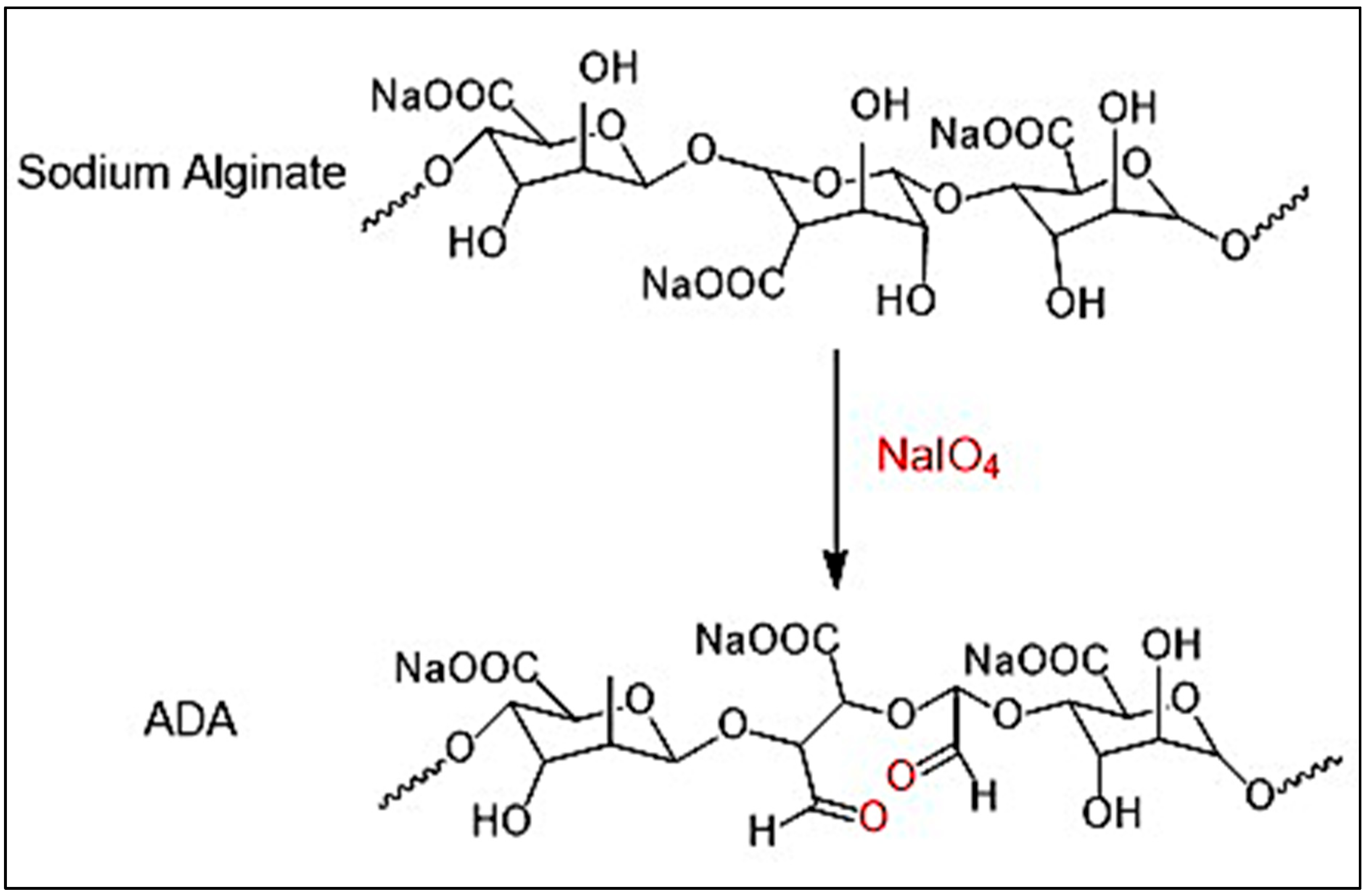 Dual-Self-Crosslinking Effect of Alginate-Di-Aldehyde with Natural and ...