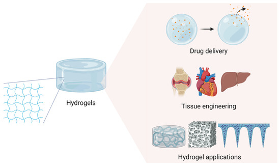 A Review of Advanced Hydrogel Applications for Tissue Engineering and Drug Delivery Systems as ...
