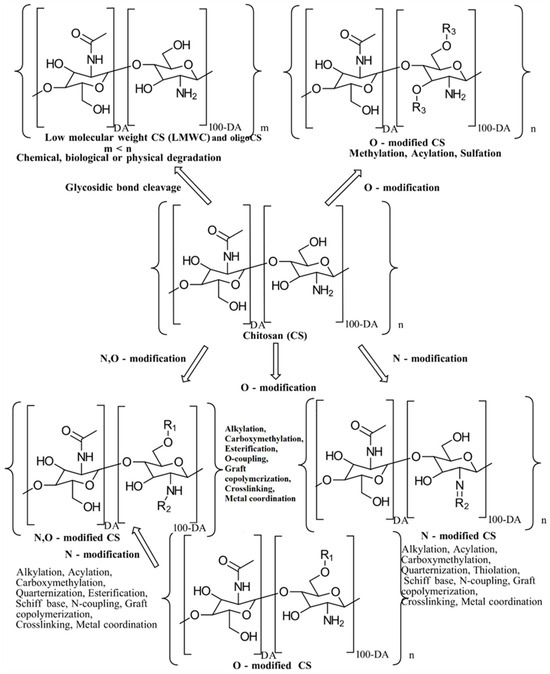 Advances in Chitosan Derivatives: Preparation, Properties and ...