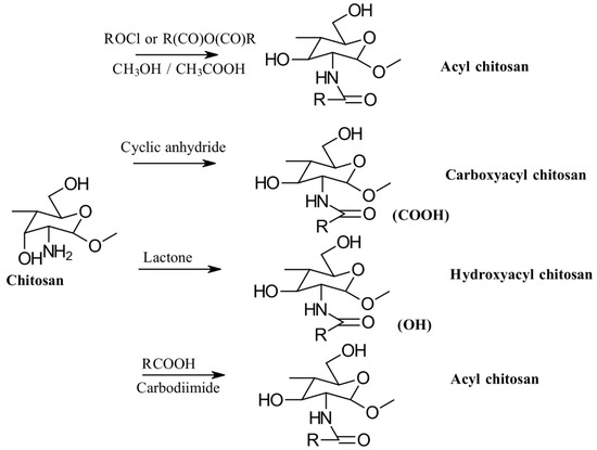 Advances in Chitosan Derivatives: Preparation, Properties and Applications in Pharmacy and Medicine