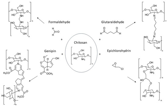 Advances in Chitosan Derivatives: Preparation, Properties and ...