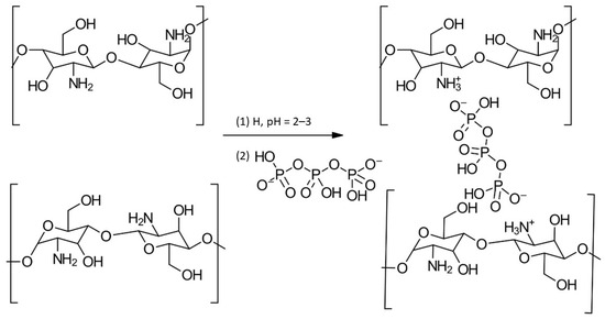 Advances in Chitosan Derivatives: Preparation, Properties and ...