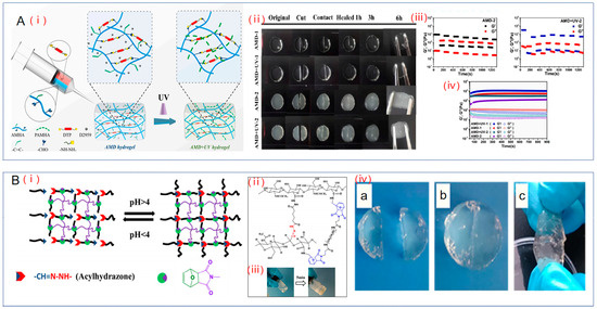 Hyaluronic Acid-Based Dynamic Hydrogels for Cartilage Repair and ...