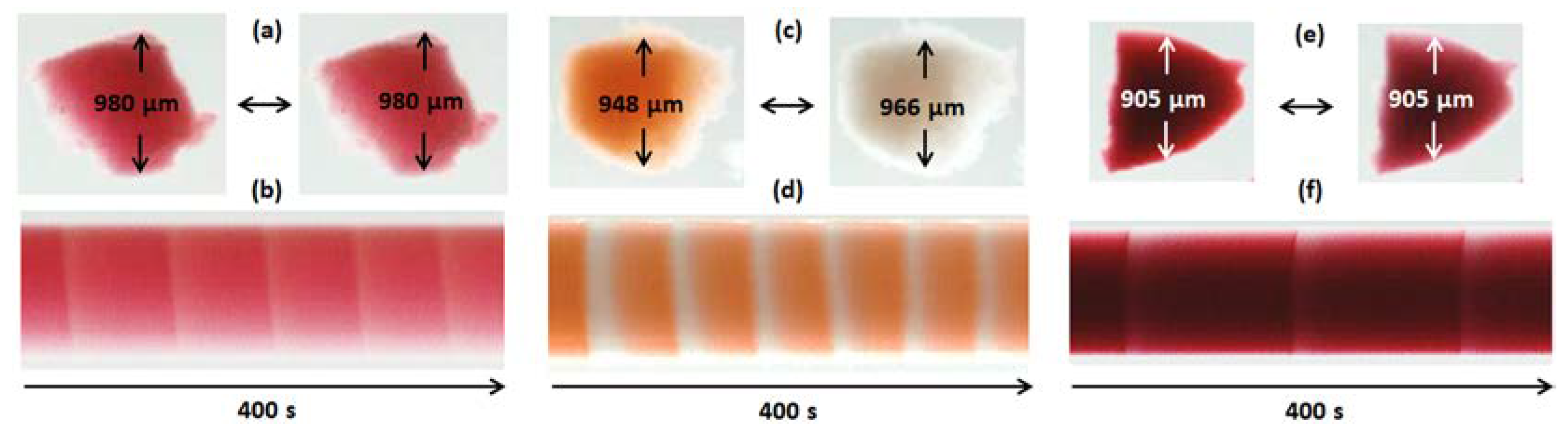 Novel Approach to Increasing the Amplitude of the Mechanical Oscillations of Self-Oscillating ...