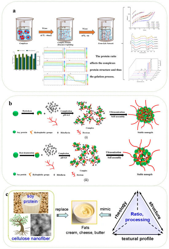 Food Gels Based on Polysaccharide and Protein: Preparation, Formation ...