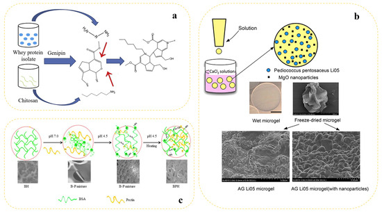 Food Gels Based on Polysaccharide and Protein: Preparation, Formation ...