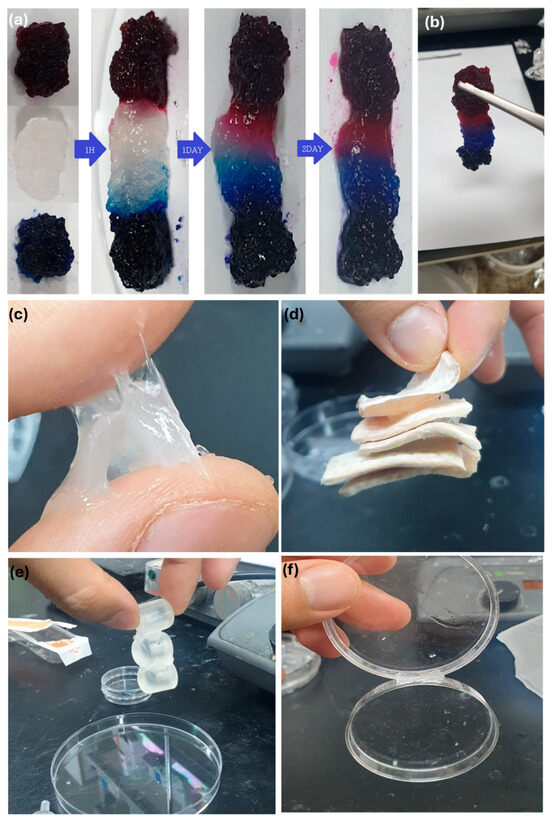 3D Bioprintable Self-Healing Hyaluronic Acid Hydrogel with Cysteamine ...