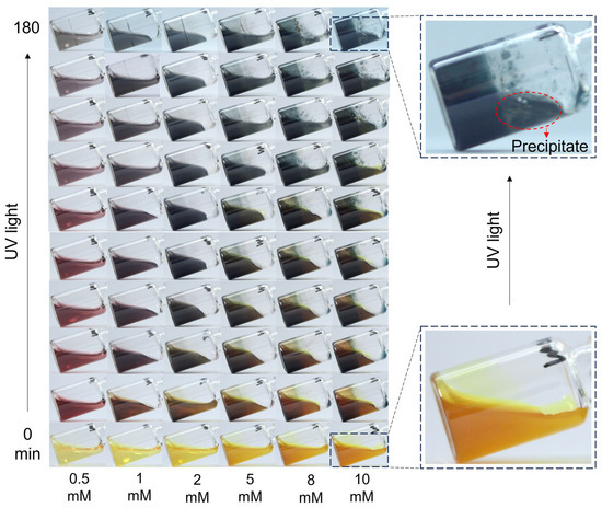 Polymer Entanglement-Induced Hydrogel Adhesion