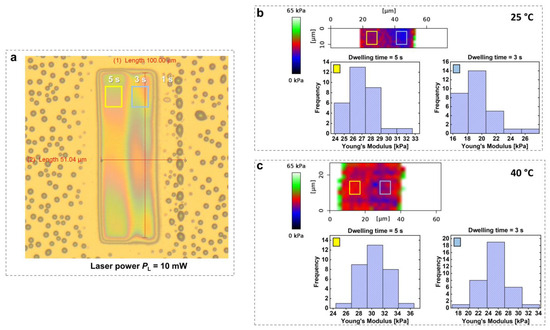 Fundamentals and Advances in Stimuli-Responsive Hydrogels and Their ...