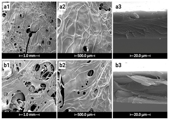 Evaluation of Carboxymethyl Cellulose/Gelatin Hydrogel-Based Dressing ...