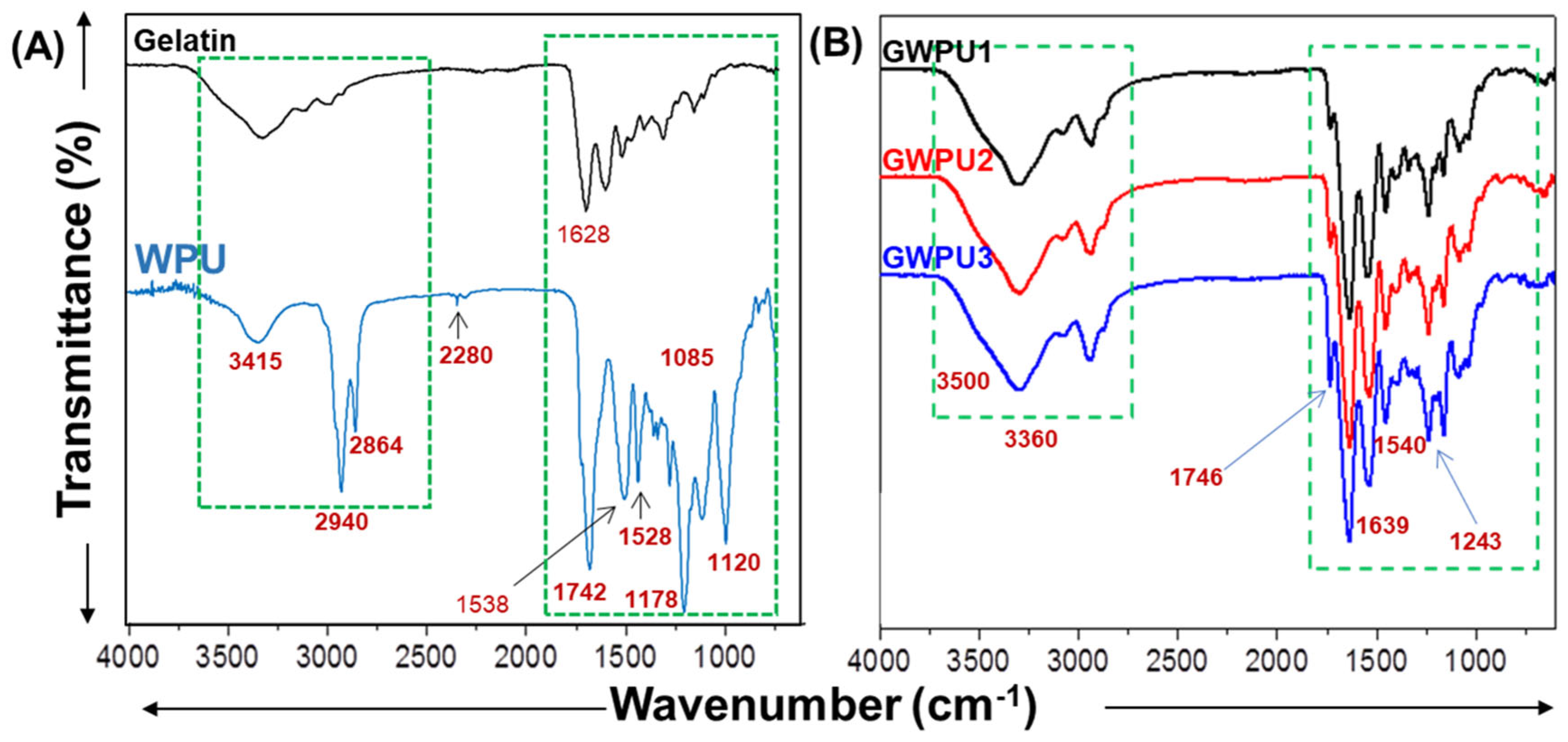 Development of Scalable Elastic Gelatin Hydrogel Films Crosslinked with Waterborne Polyurethane ...