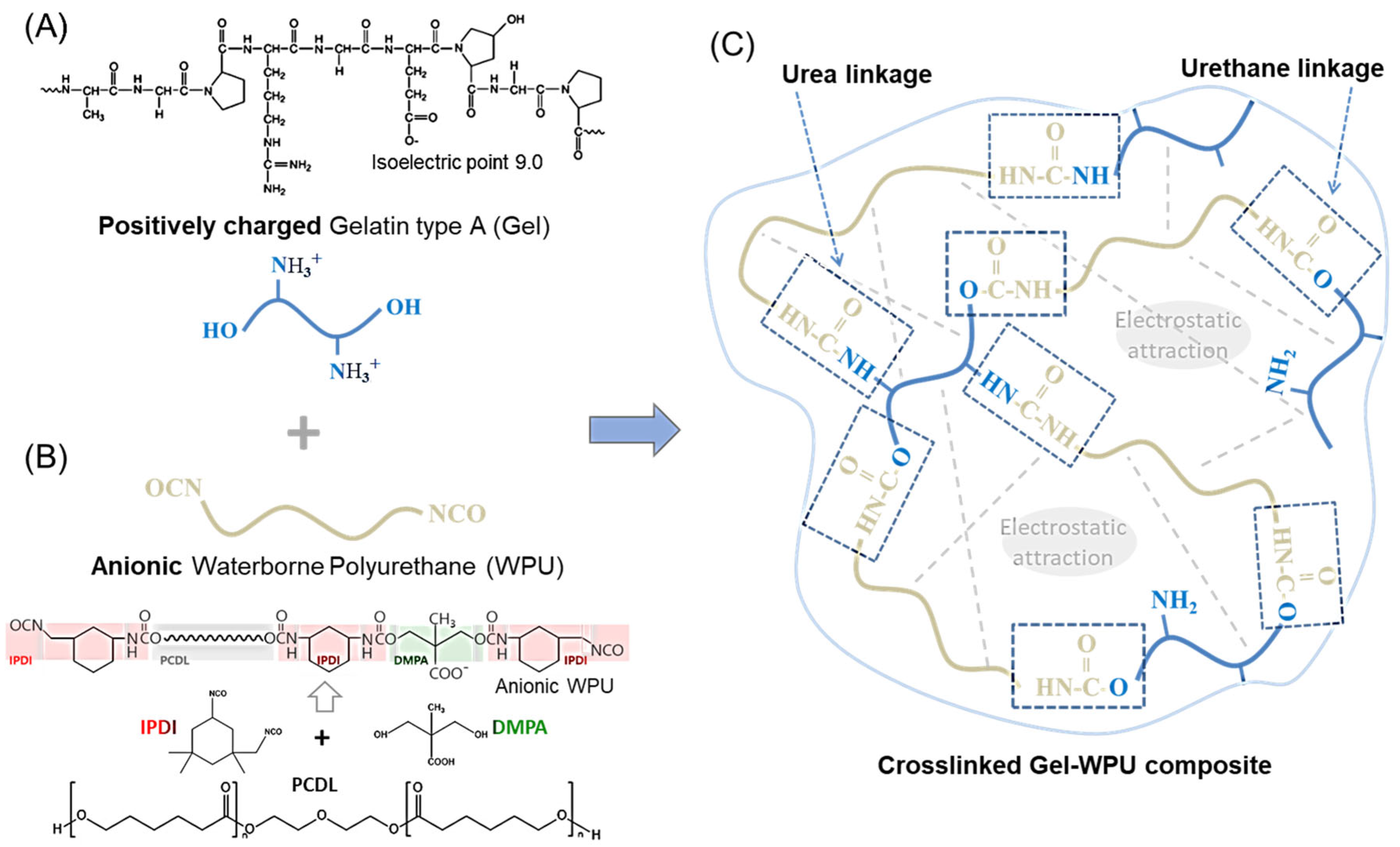 Development of Scalable Elastic Gelatin Hydrogel Films Crosslinked with Waterborne Polyurethane ...