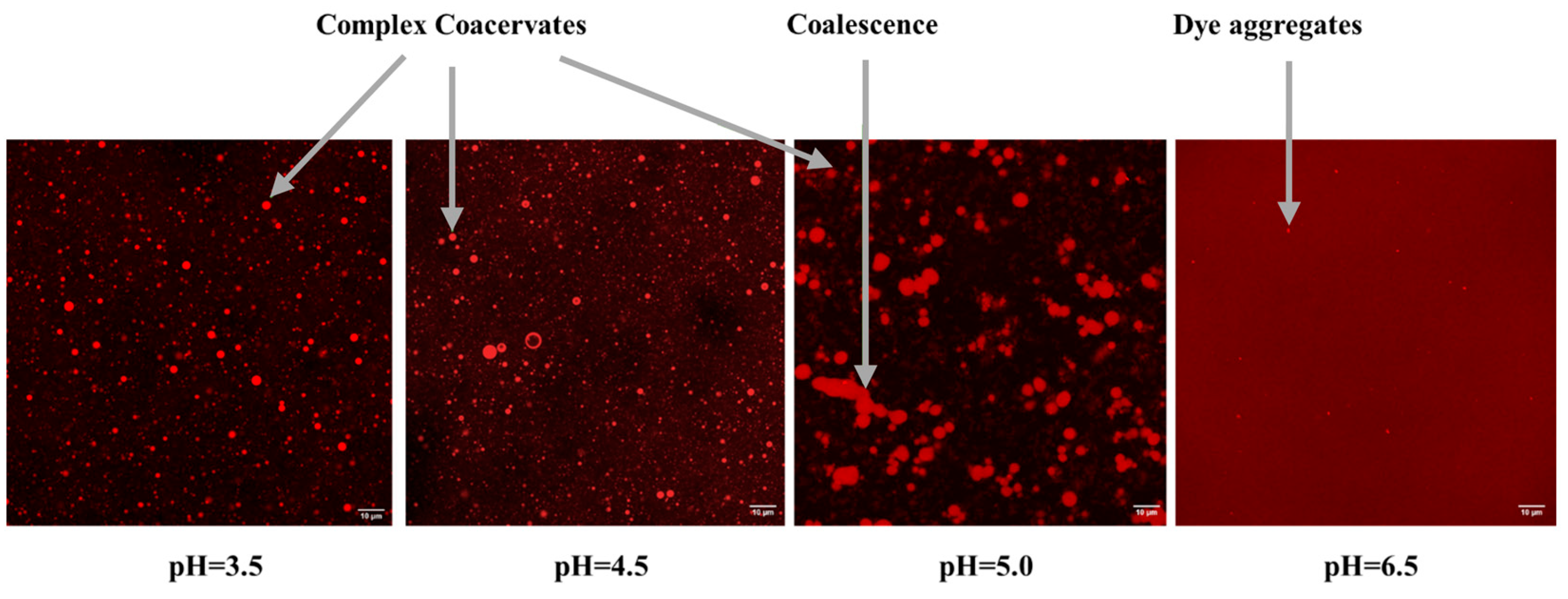 Development of Extrudable Hydrogels Based on Carboxymethyl Cellulose ...