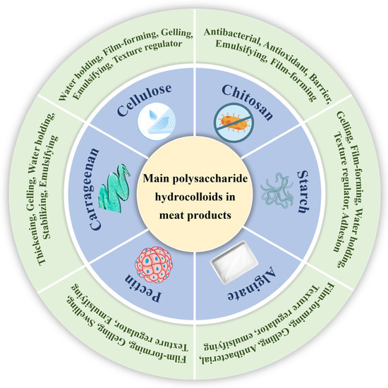 The Beneficial Role of Polysaccharide Hydrocolloids in Meat Products: A ...