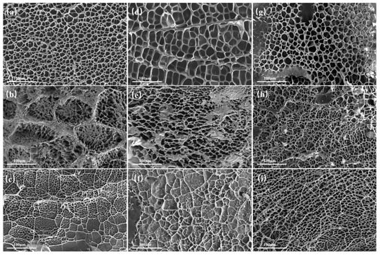 Three-Dimensional Printable Magnetic Hydrogels with Adjustable ...