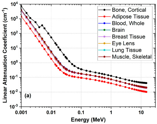 Advancements in Tissue-Equivalent Gel Dosimeters