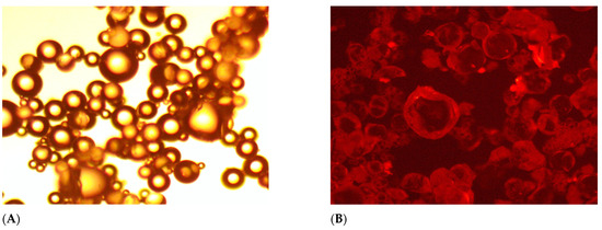 Performance Evaluation of Fluorescent Polymer Gel Microspheres as a ...