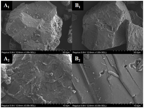 Effects of Extrusion Treatment on the Physicochemical and Baking Quality of Japonica Rice ...