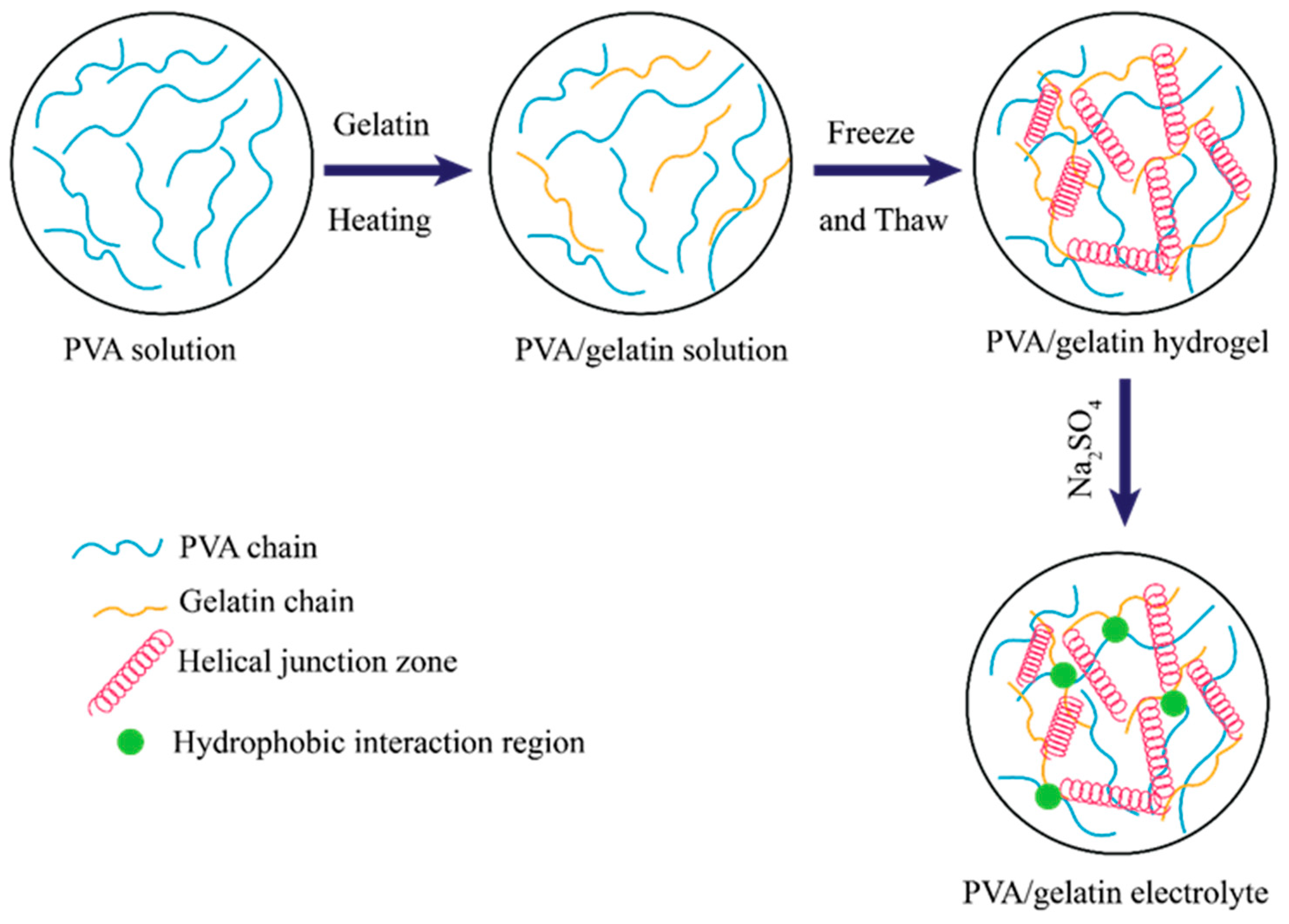 Synthesis of PVA-Based Hydrogels for Biomedical Applications: Recent Trends and Advances