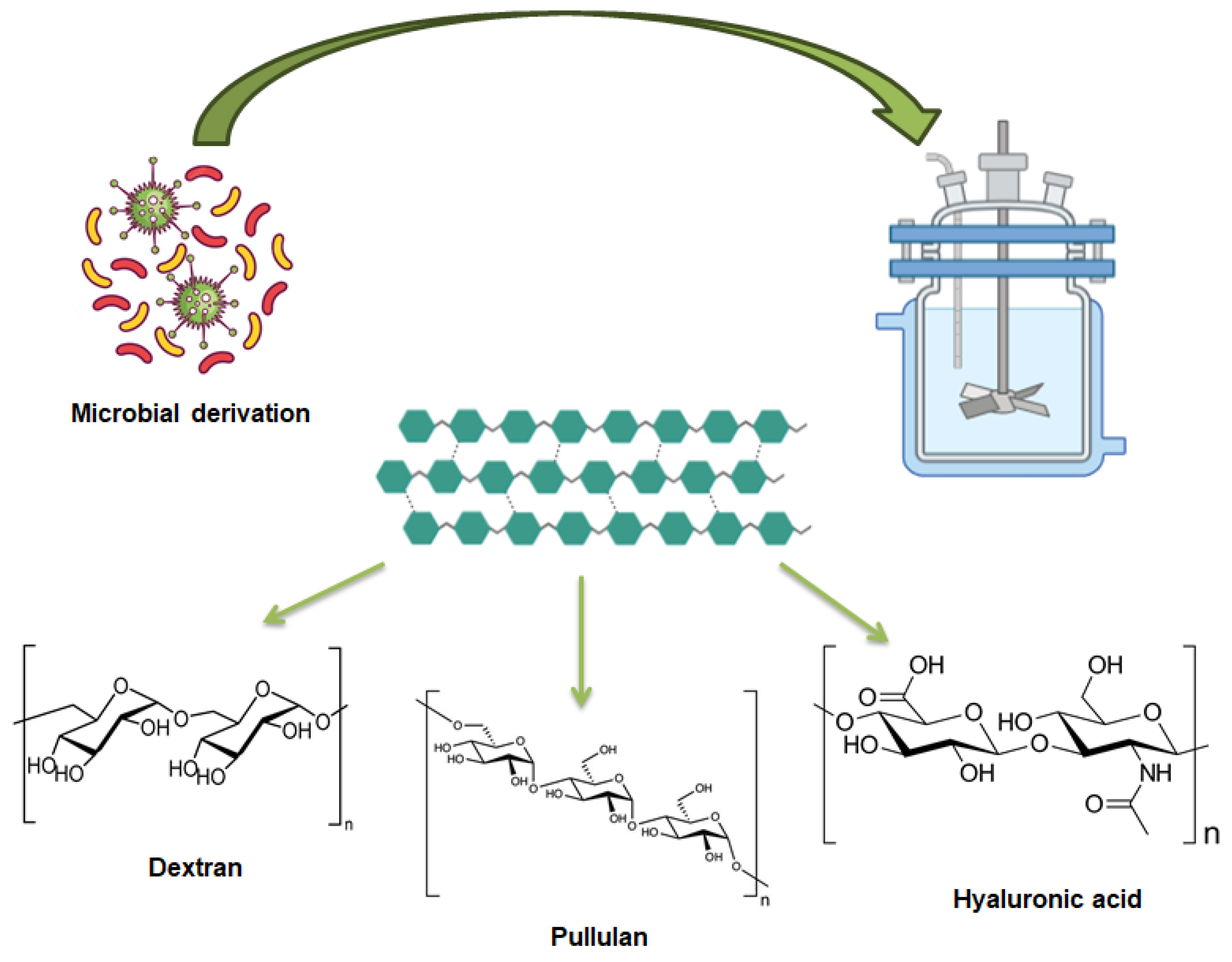 Polysaccharide Hydrogels as Delivery Platforms for Natural Bioactive Molecules: From Tissue ...